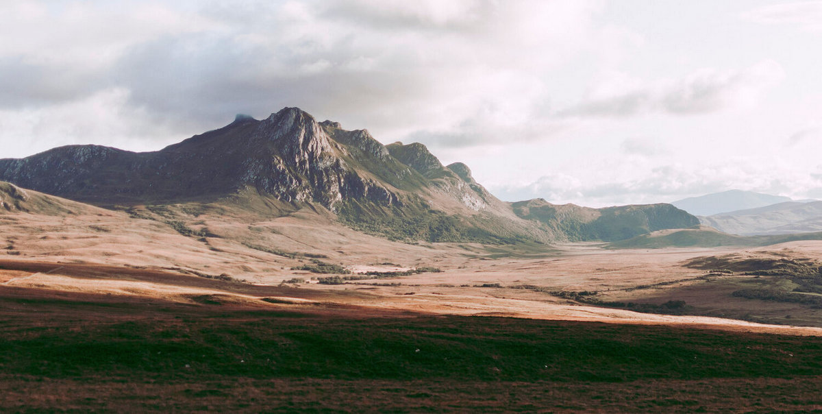 Wildland Scotland's Mission To Preserve And Inspire